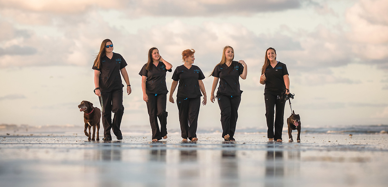 Driftwood Veterinary Hospital - Dr. Grace Shook